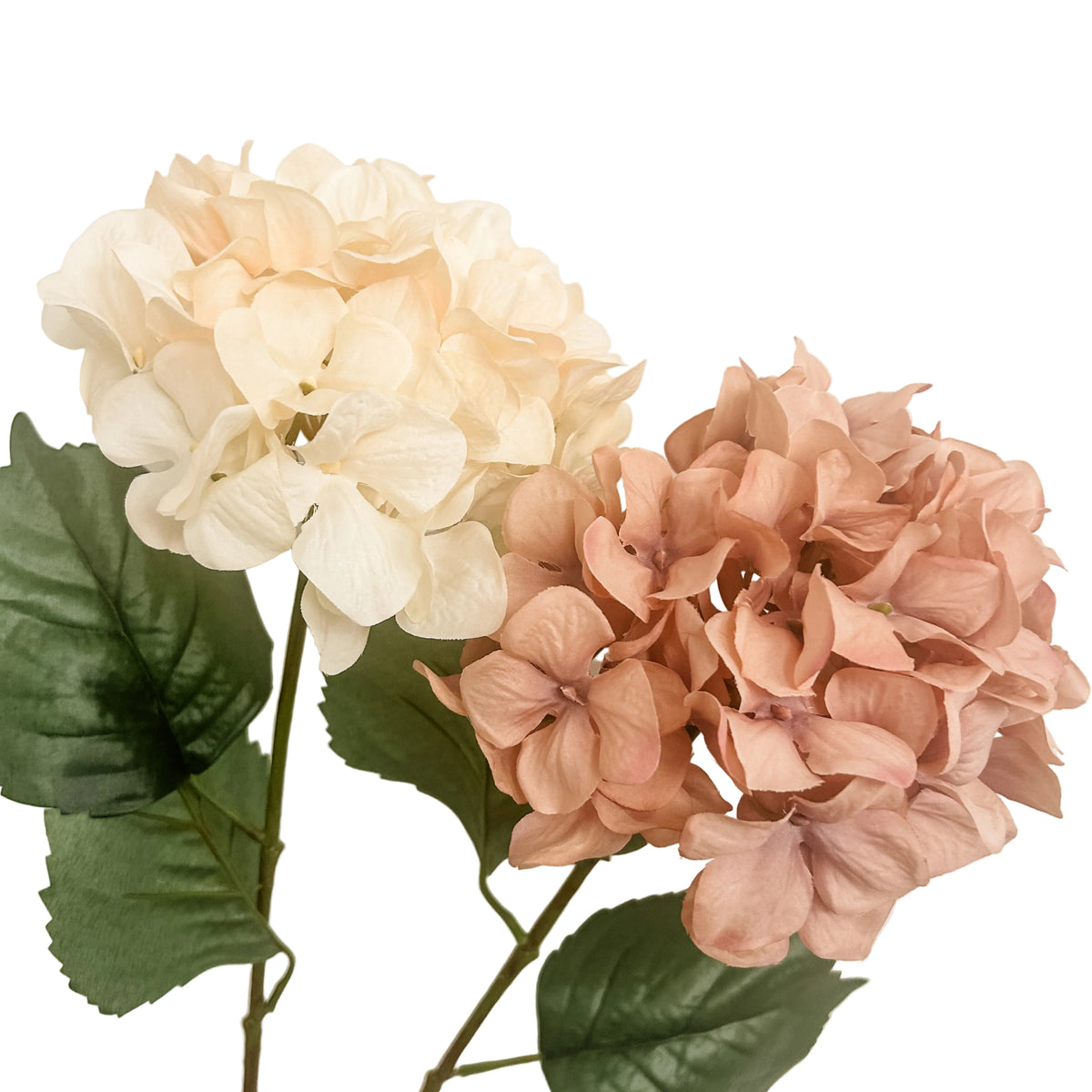 Large Bloom Tall Hydrangea Stems — Thrive Greenery & Gifts